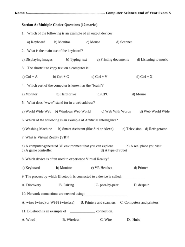 Grade 5 Computer Science Exam 2024 | PDF | Computer Data Storage | Computer File