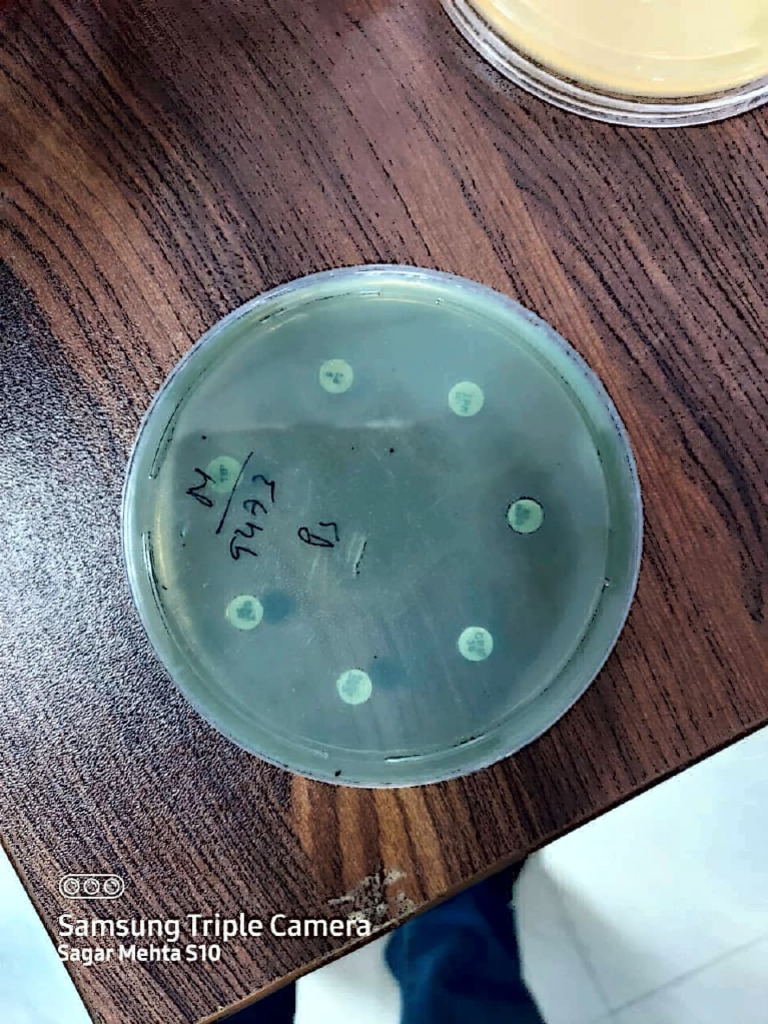 Micro Practical | PDF