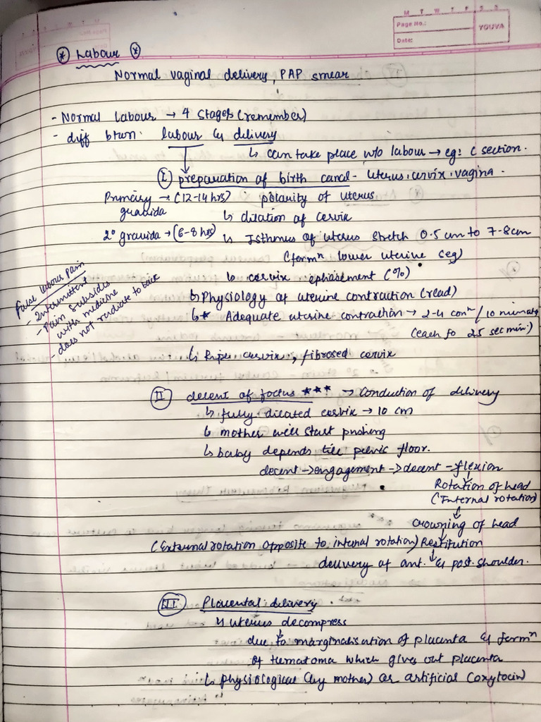 Nidhi Notes | PDF
