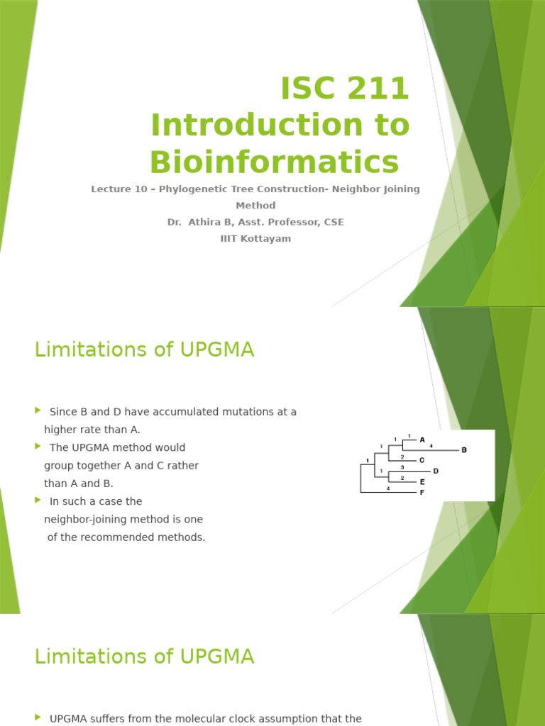 Lecture 10 Phylogenetic Tree Pdf Algorithms And Data Structures Bioinformatics
