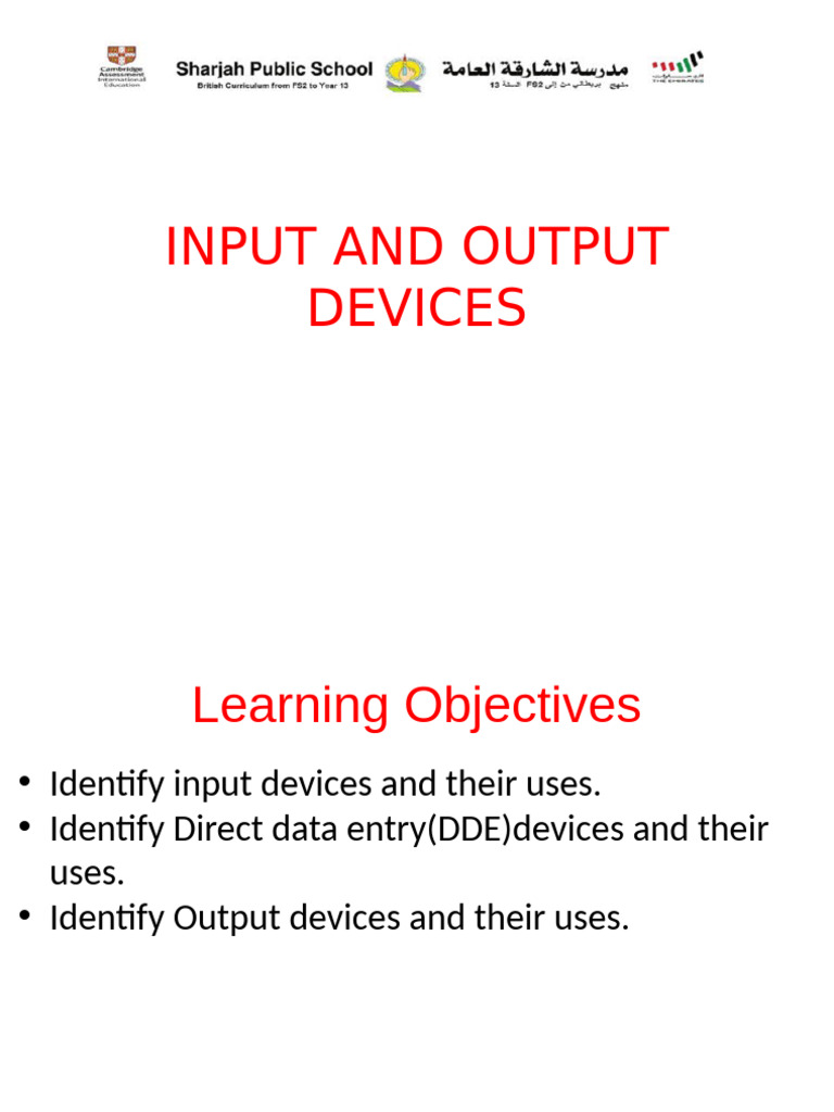Input and Output Devices | PDF