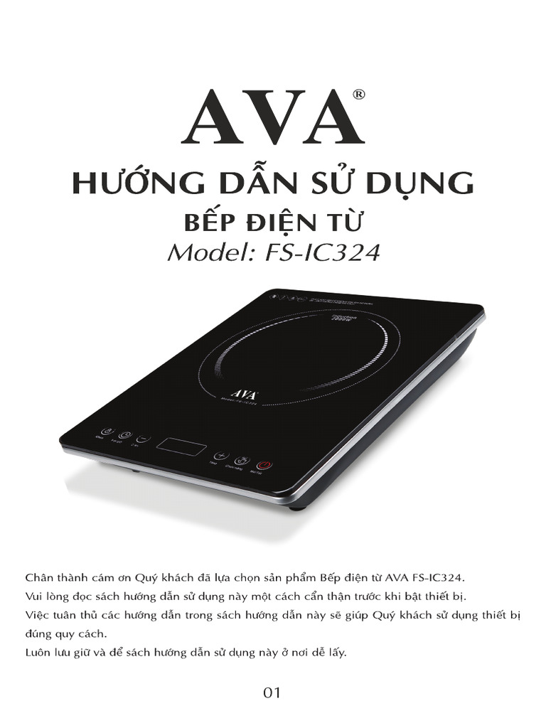 HDSD FS IC324 Outline | PDF