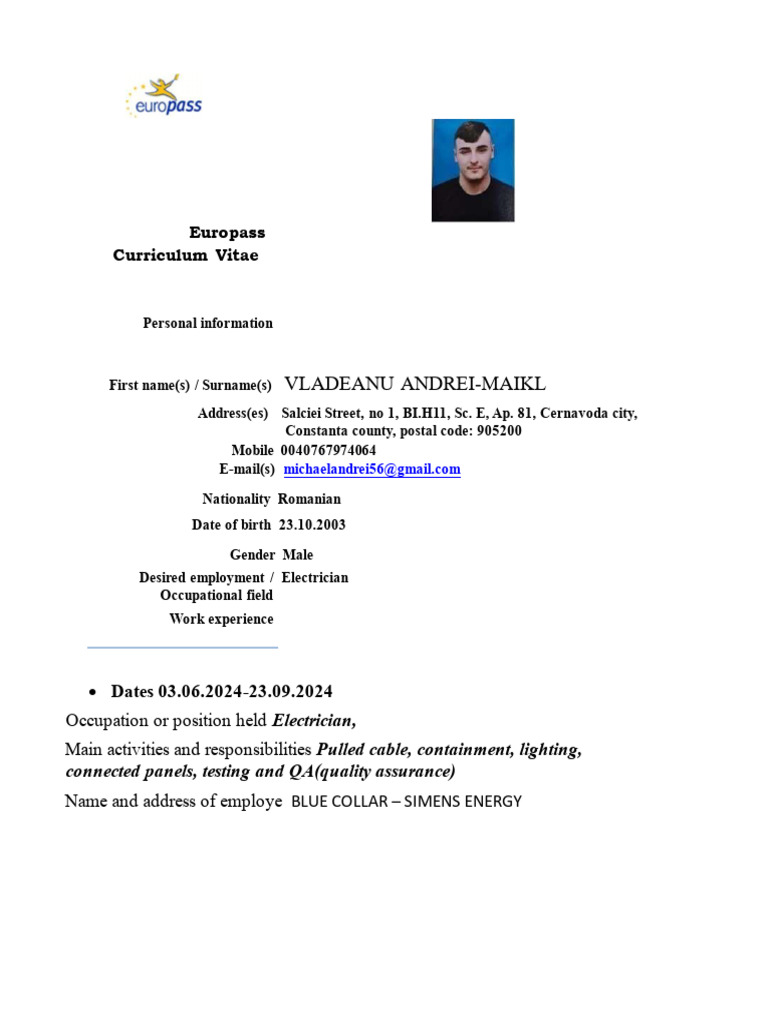 MICHAEL CV | PDF | Lighting | Electrician