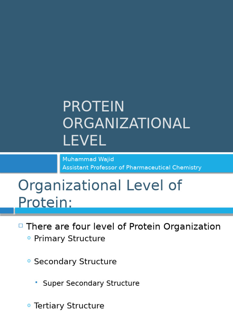 Protein Structure | PDF | Beta Sheet | Alpha Helix