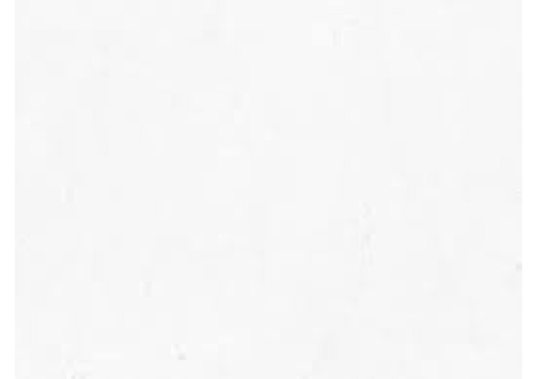 White | PDF