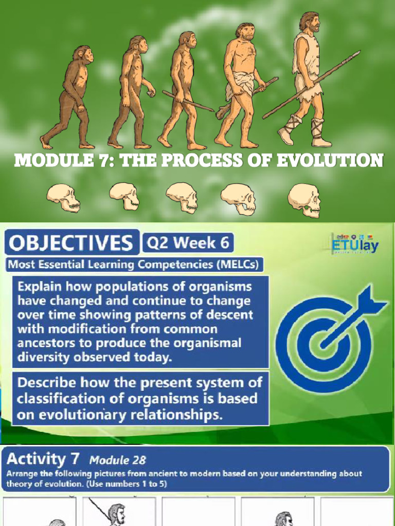 MODULE-7-THE-PROCESS-OF-EVOLUTION | PDF