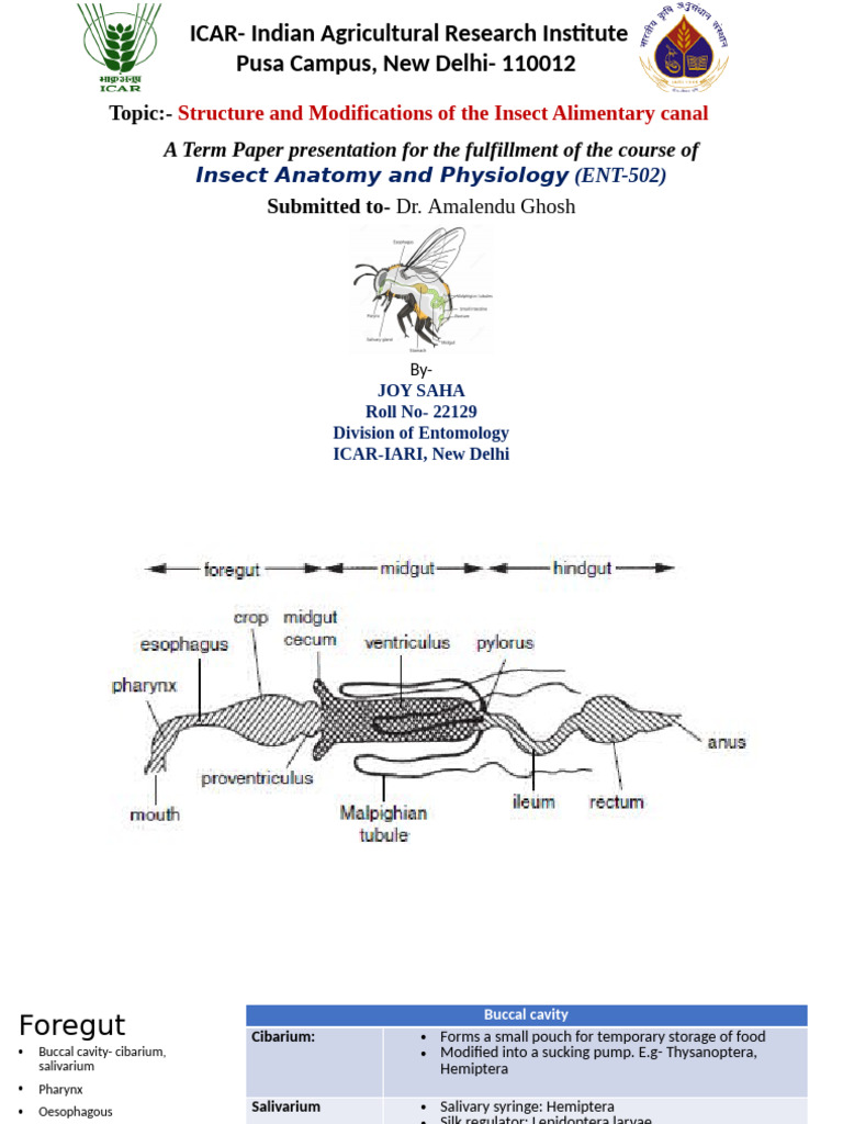 ent 502 ppt | PDF | Stomach | Insects