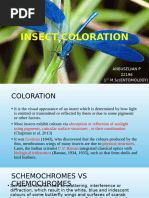 02 Insect Digestive System 1 | PDF | Esophagus | Epithelium