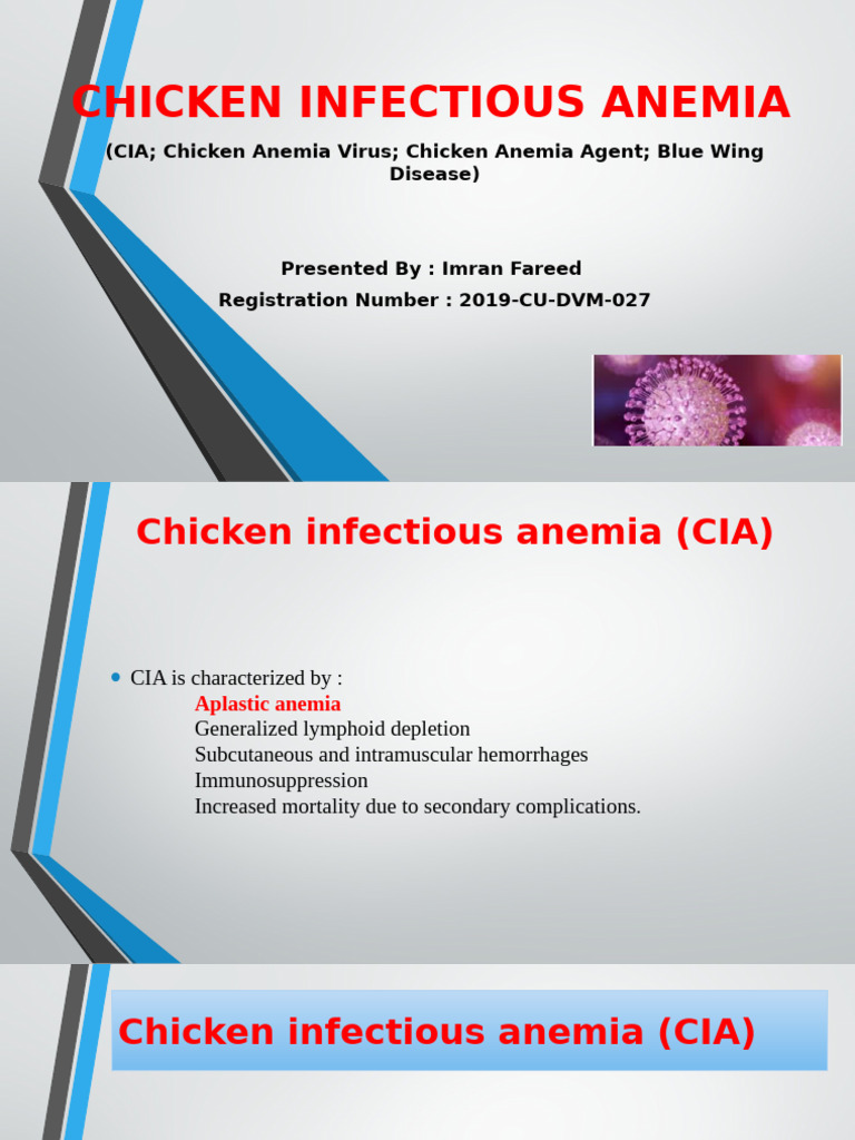 CIA Presentation | PDF | Chicken | Health Sciences