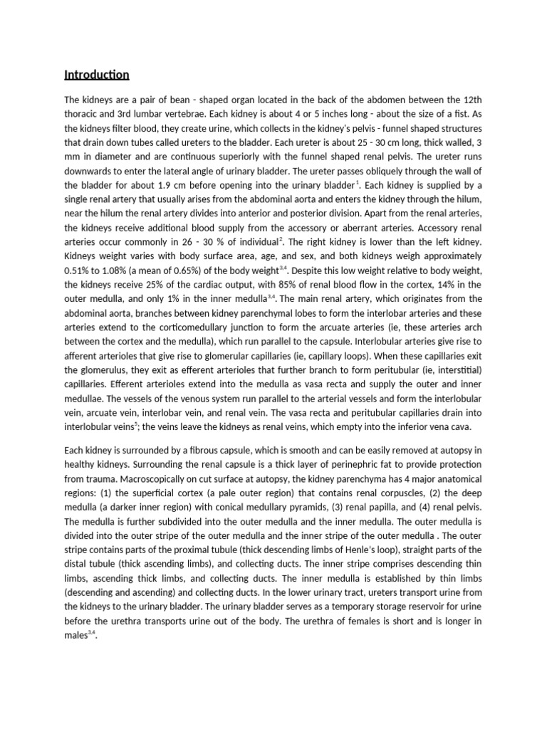 thesis 1 | PDF | Kidney | Organ (Anatomy)