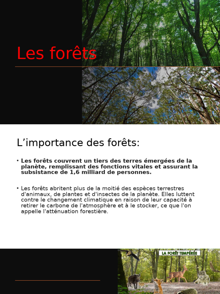 Importance des forêts pour l'humanité | PDF | Forêt | Développement durable