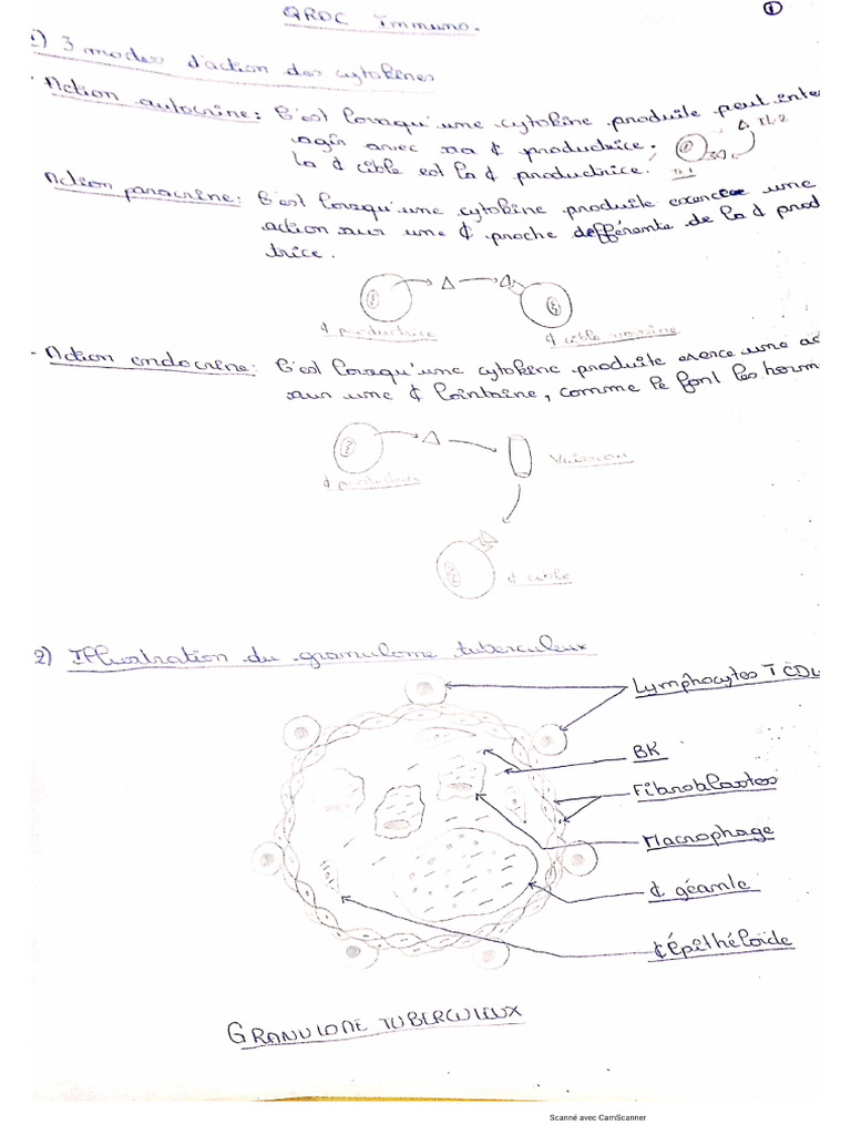 Immuno Qroc Traité | PDF