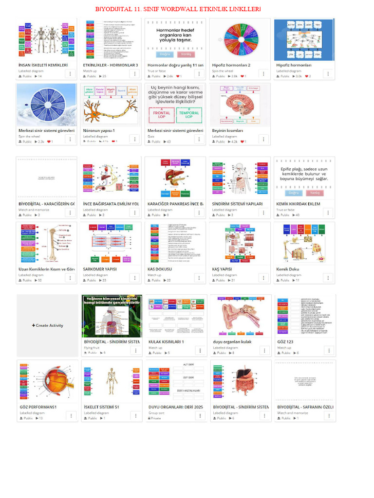 Wordwall 11 Etkinlikleri | PDF