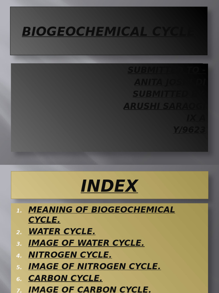 BIOGEOCHEMICAL CYCLE - Copy | PDF | Water Cycle | Photosynthesis