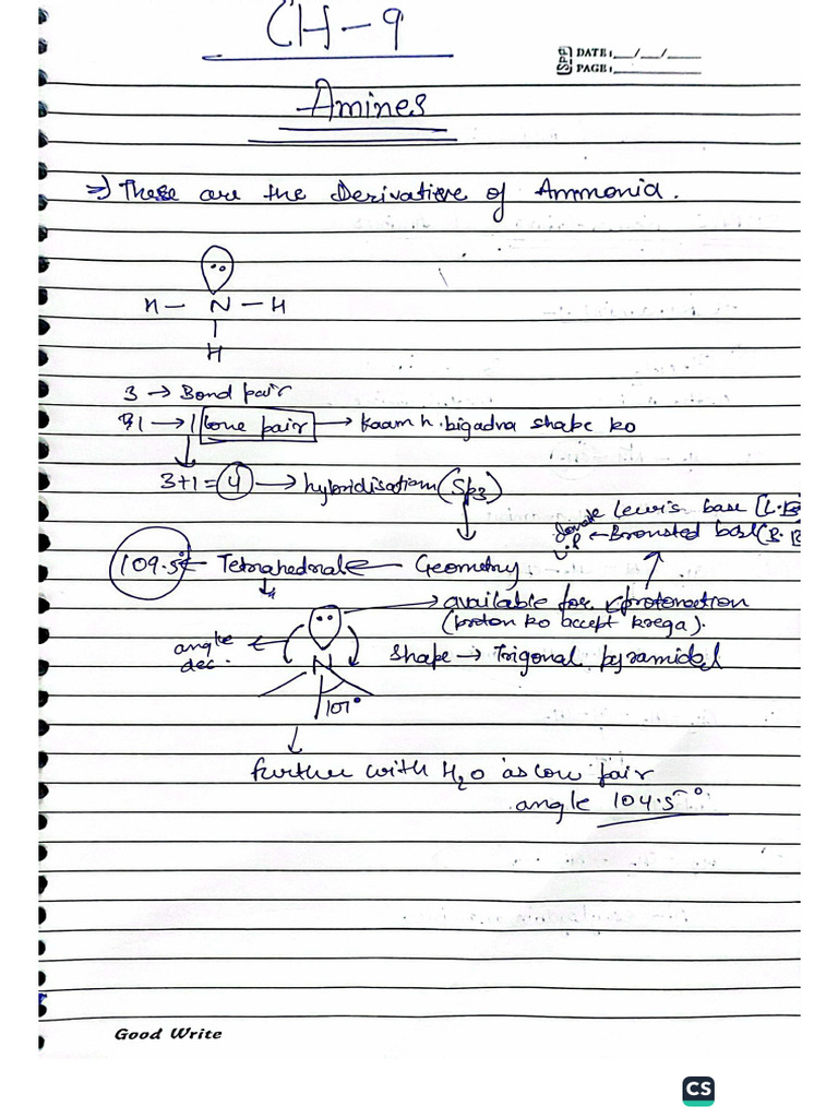 Amines Chapter | PDF