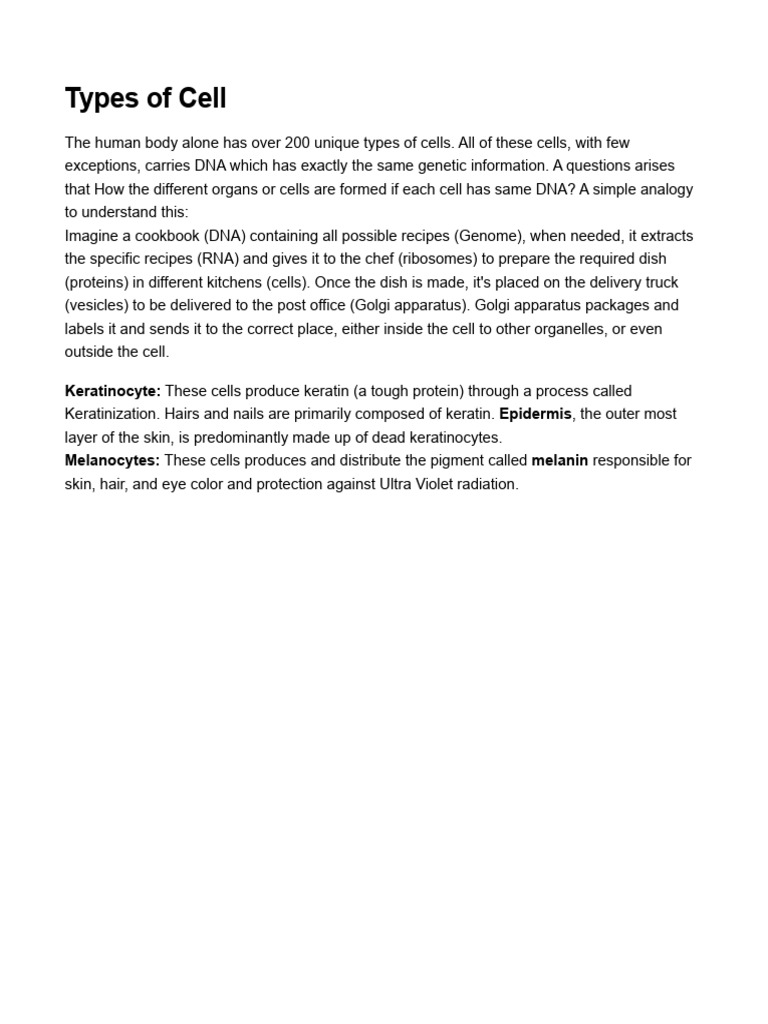 Types of Cell | PDF
