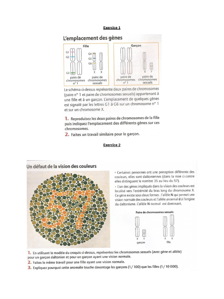 Exercice Gène | PDF