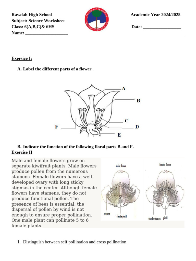 X-Mas G6 Worksheet | PDF