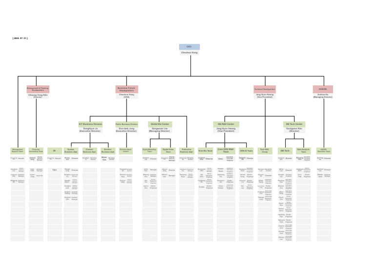 Company Organizational Structure 2024 | PDF