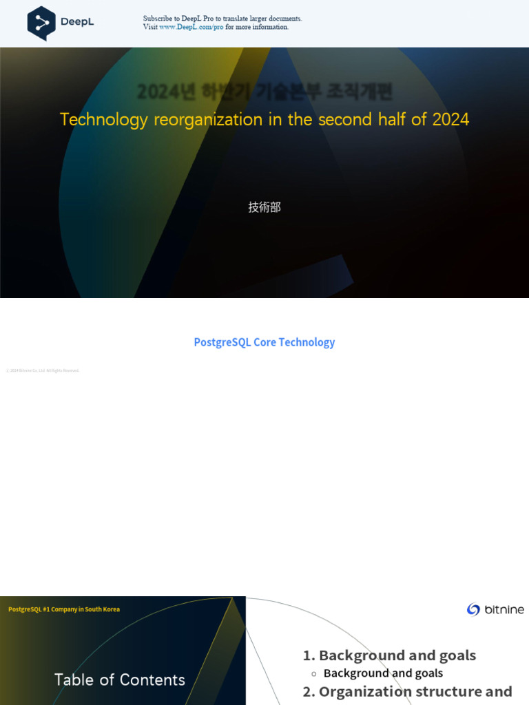 Bitnine 2024 Tech Reorganization Plan | PDF | Business