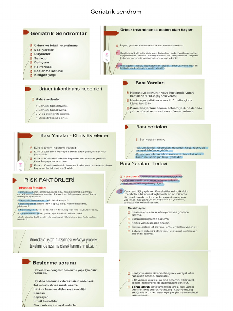 Geriatrik sendr_202411110903_05435 | PDF