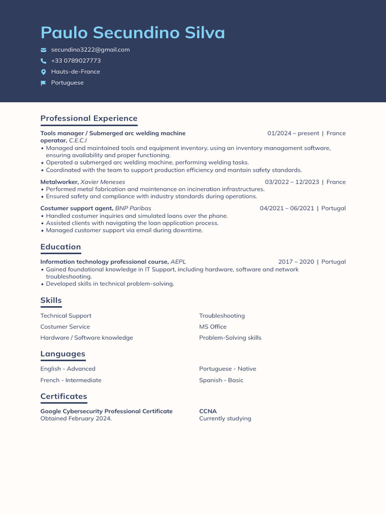 Paulo Silva CV | PDF