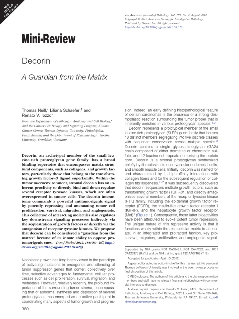 Decorin_Review | PDF | Epidermal Growth Factor Receptor | Angiogenesis