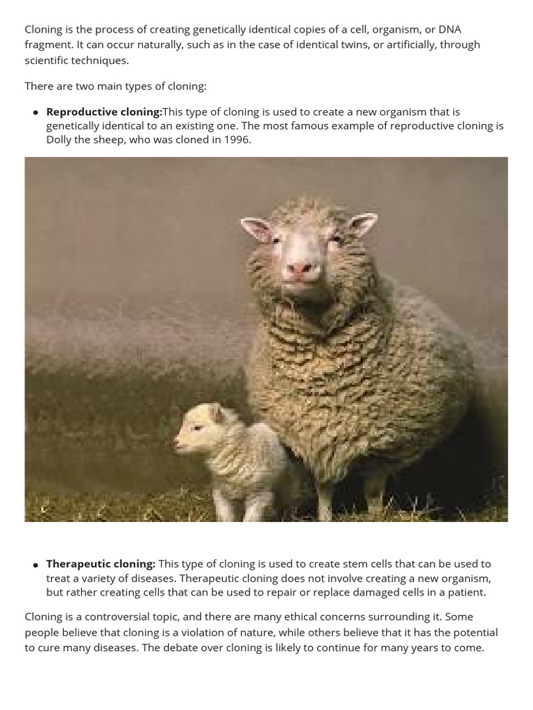 Reproductive Cloning | PDF