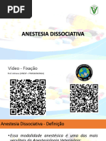 Uso e Farmacologia da Xilazina | PDF | Remédio | Medicina Clínica