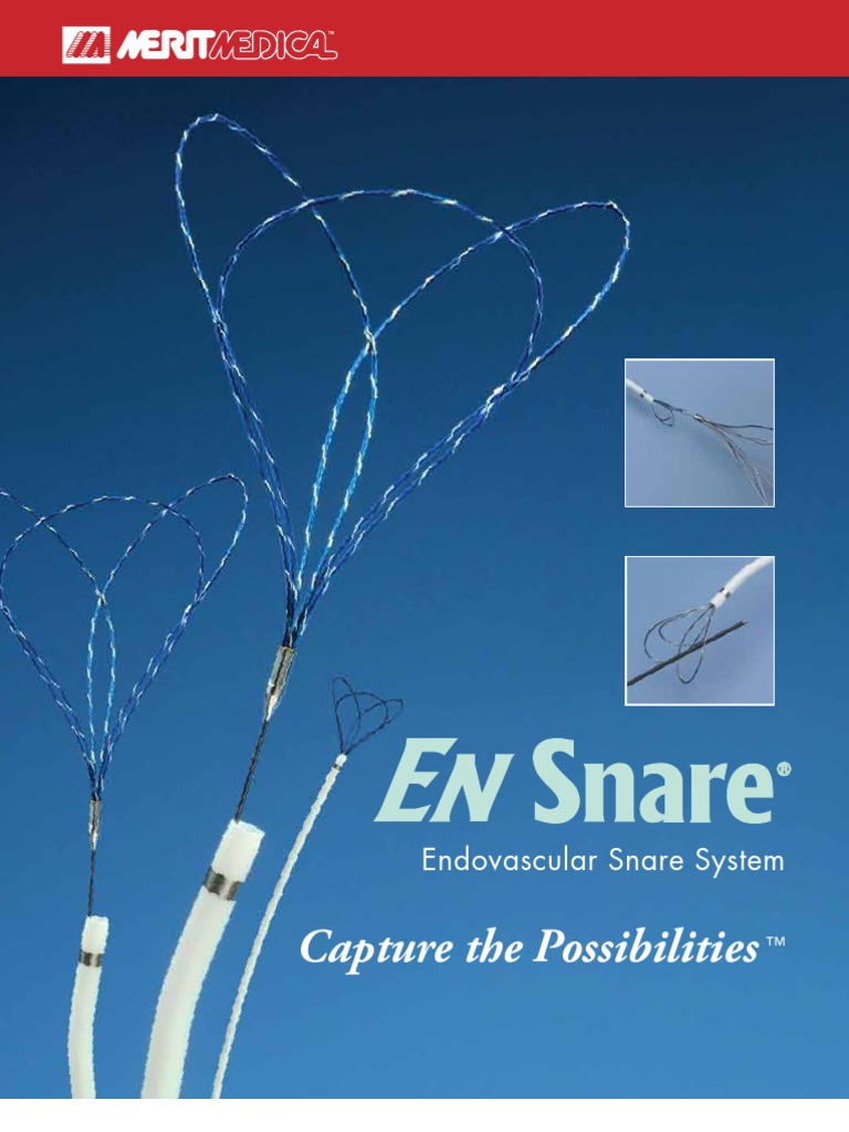EN Snare Endovascular System | PDF