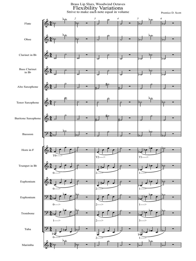 Flexibility Variations - Score | PDF
