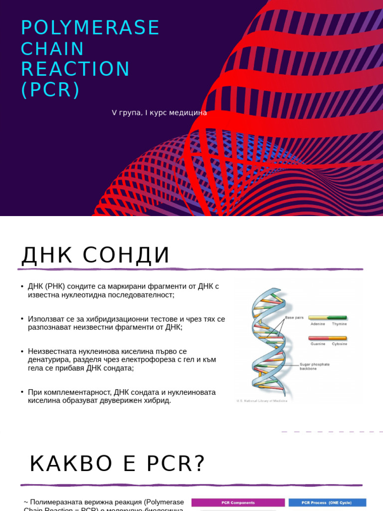 PCR 5 Grupa | PDF