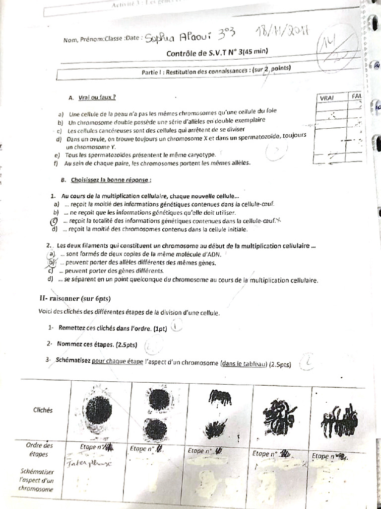 DS SVT 3e | PDF