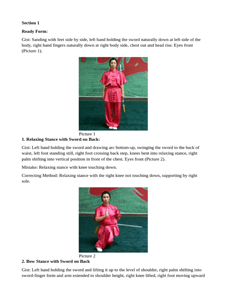 Complete Shaolin Damo Jian Form | PDF | Hand | Foot