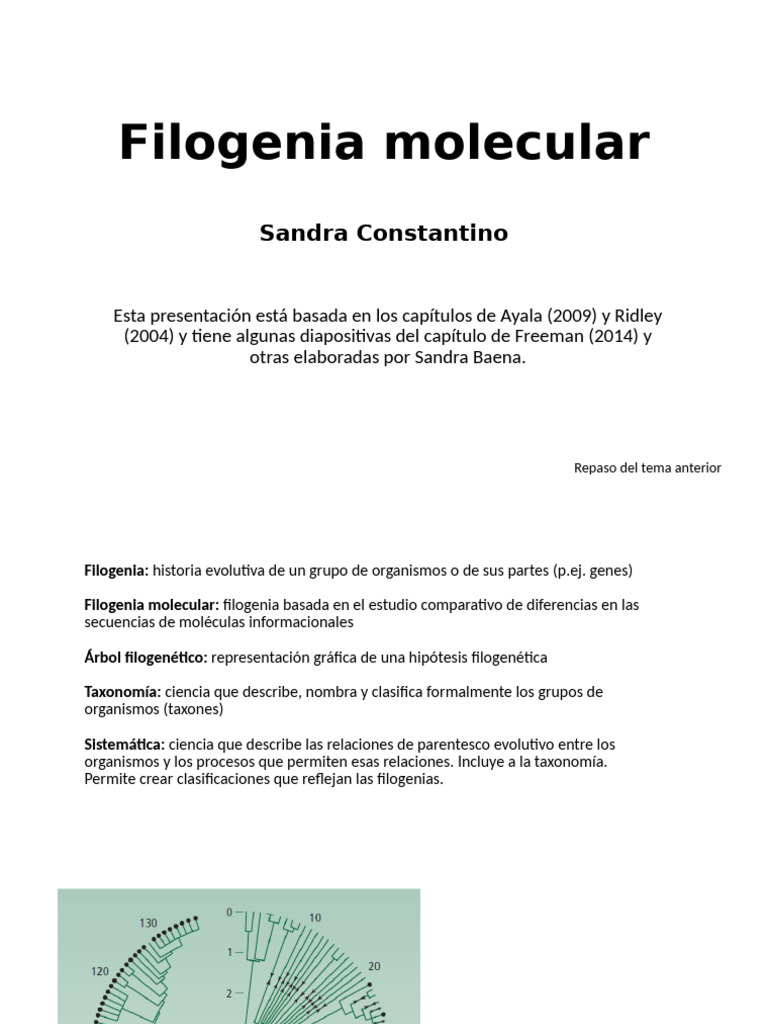 Filogenia Molecular | PDF | Gene | Filogenética