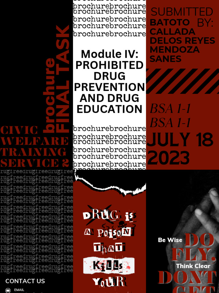 Task-4-BROCHURE | PDF | Insomnia | Panic Attack