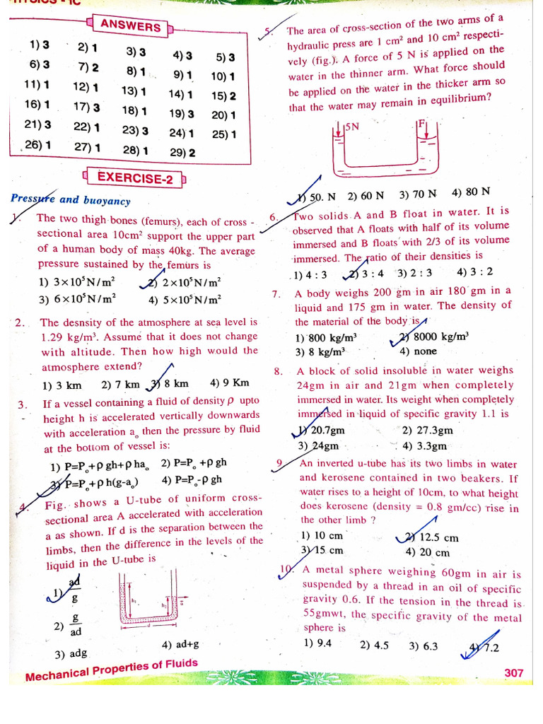 ACE Scanner - 2024 - 11 - 12 | PDF