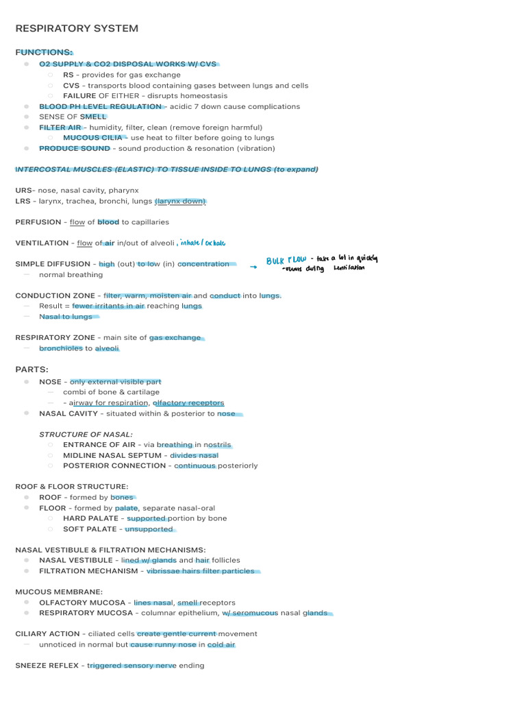 Respiratory System Pdf Lung Respiratory Tract