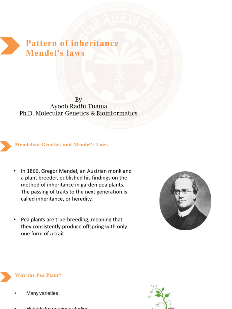 Pattern of inheritance Mendel's laws | PDF | Dominance (Genetics) | Allele