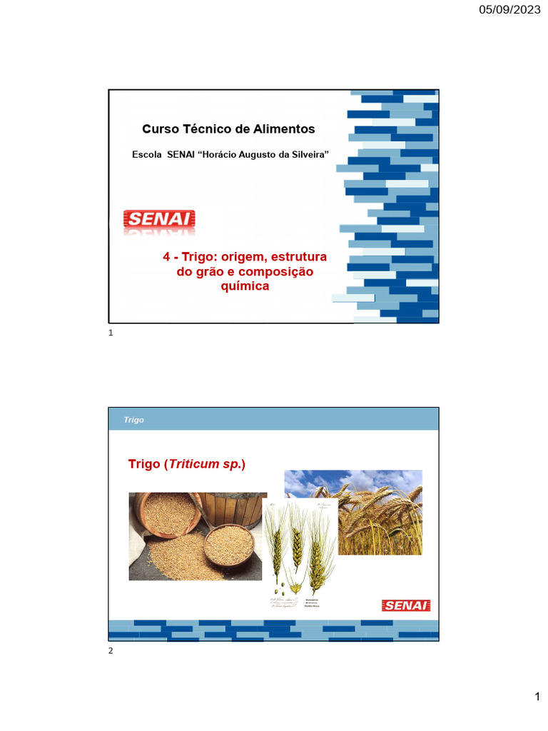 Aula 04 - Composicao Do Trigo | PDF | Glúten | Trigo