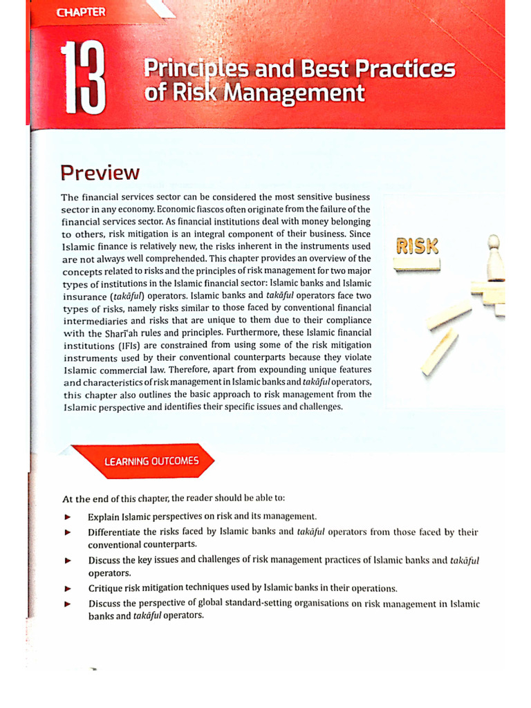 Chapter 13 Principles and Best Practices of Risk Management | PDF