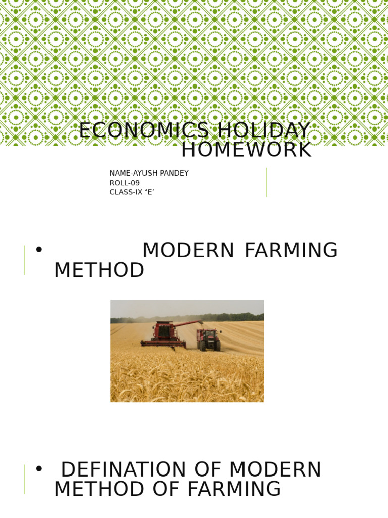 Economics Holiday Homework | PDF