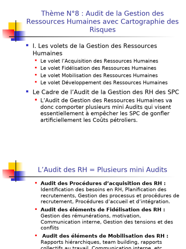 Audit des Ressources Humaines et Salaires | PDF | Salaires | Gestion des ressources humaines