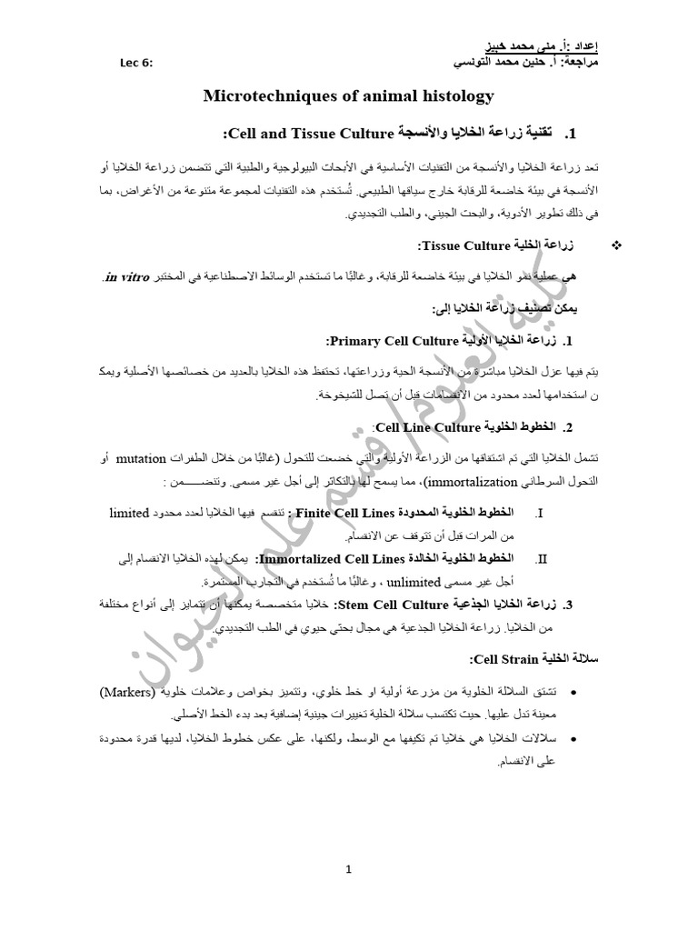 LEC6 معدلة | PDF