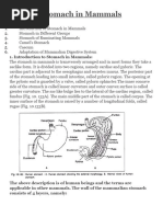 Elephant GI Anatomy & Physiology | PDF | Gastrointestinal Tract | Digestion