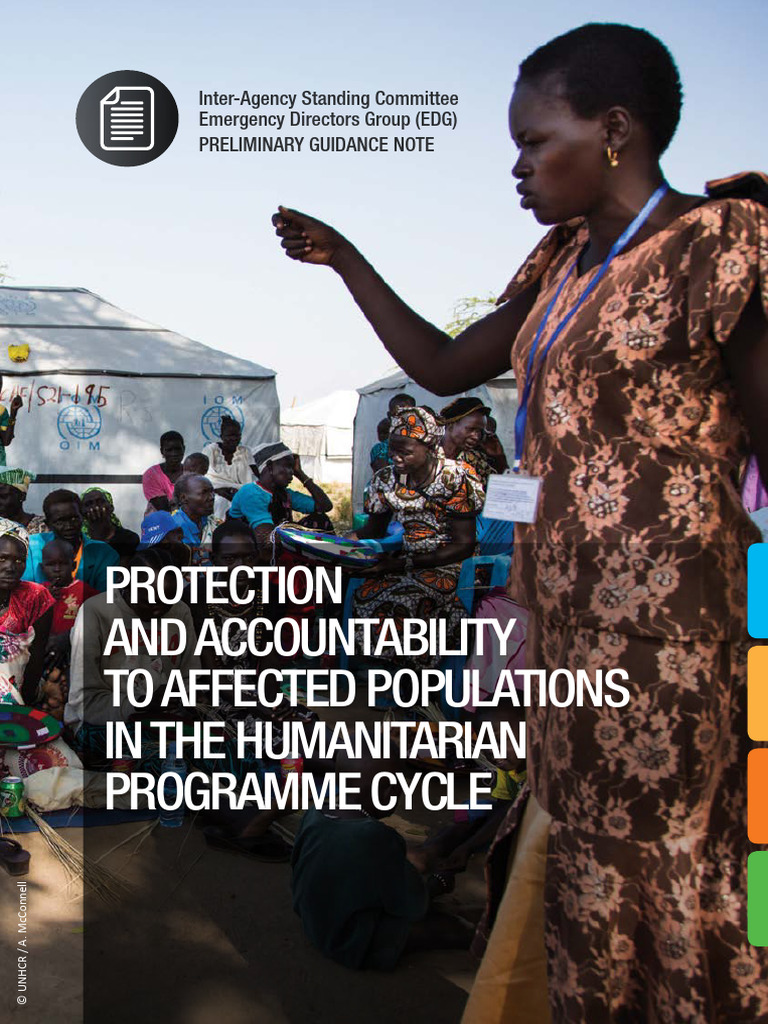 Protection and Accountability To Affected Populations in The ...