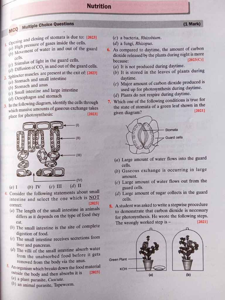 Biology Life processes (practice questions) | PDF