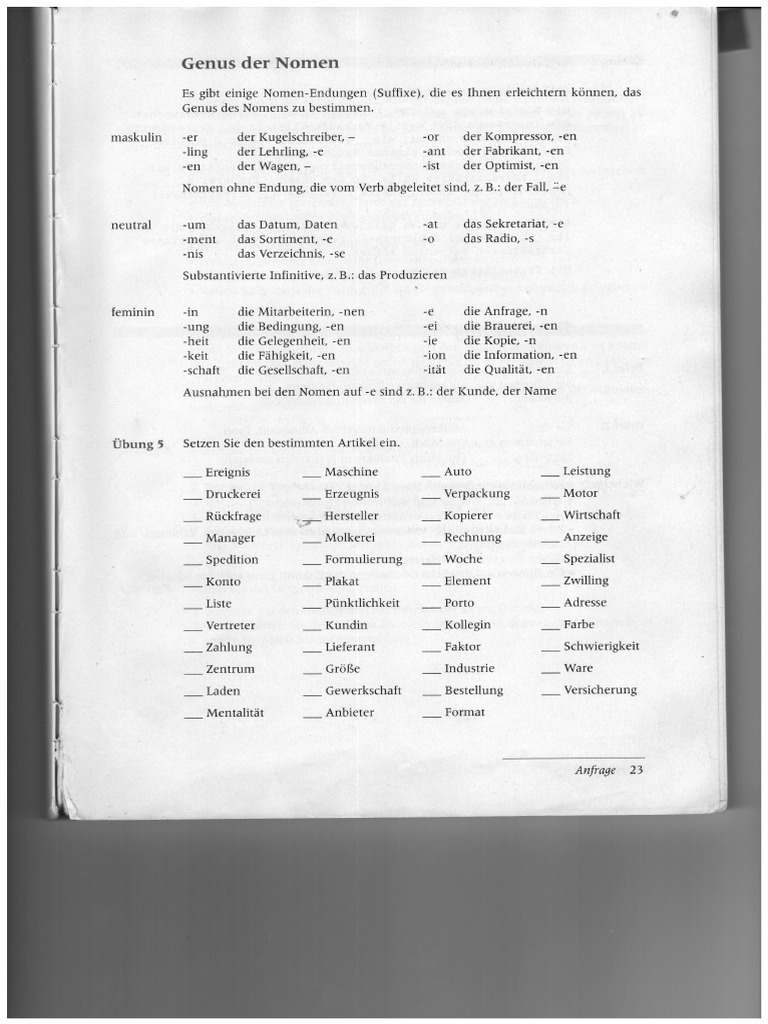 Genus Der Nomen | PDF