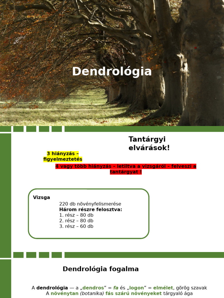 Dendrológia | PDF