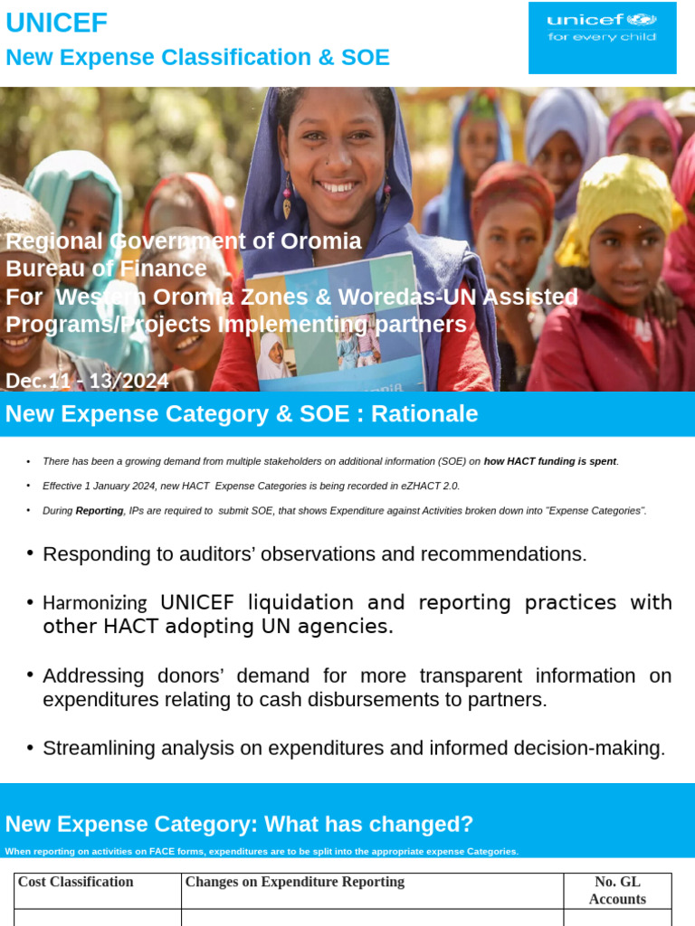Unicef New Expense Classification 2024 Pdf Expense Economies